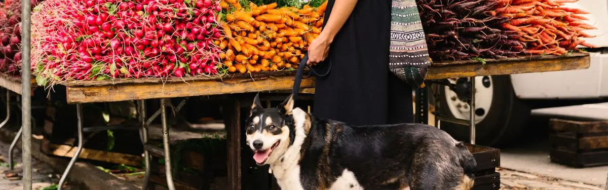 How to Have Farmers Market Fun with Your Dog | Nature's Recipe