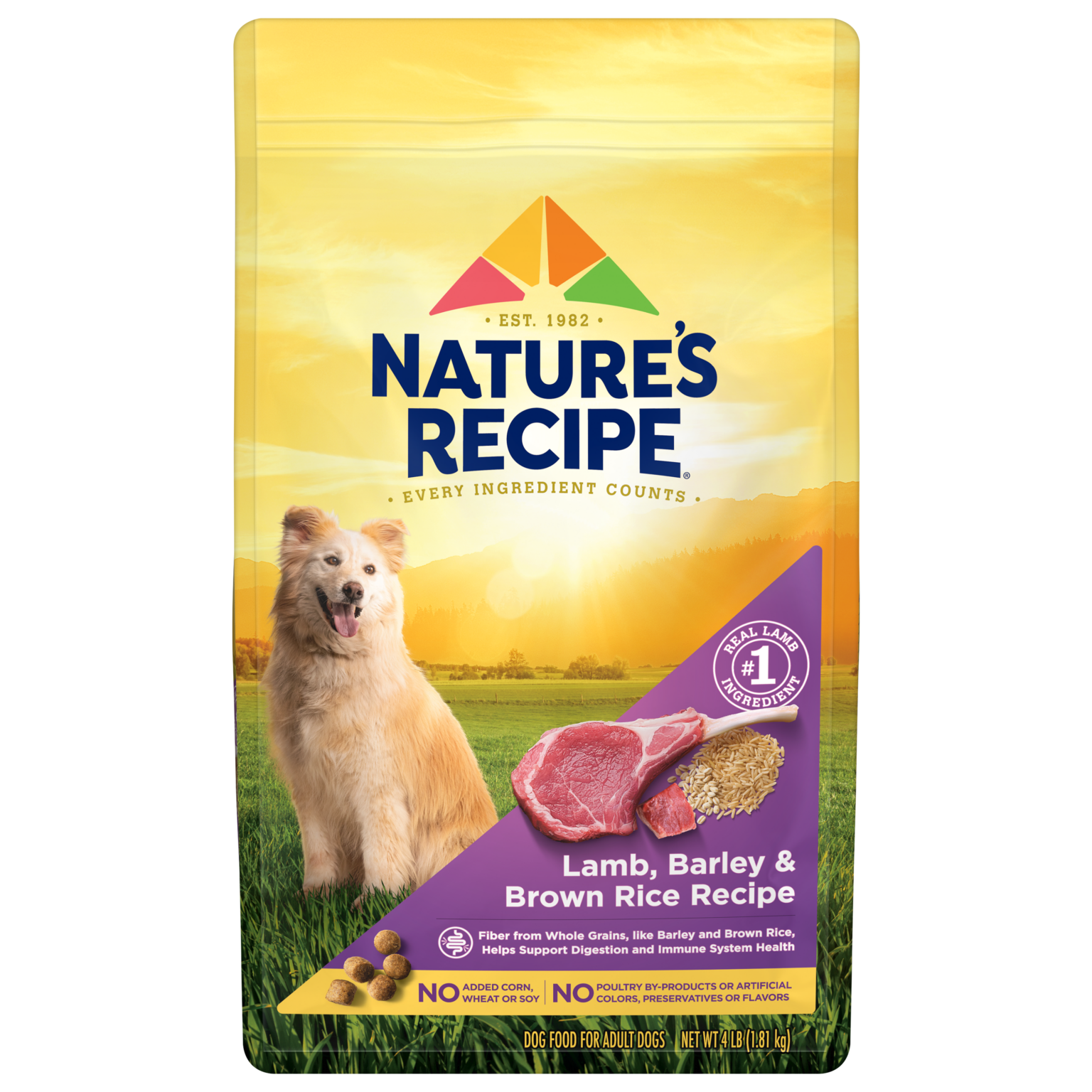 Nature’s Recipe Freeze Dried Blend Dry Dog Food