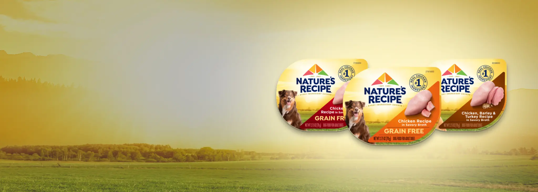Healthy Wet Dog Food | Nature's Recipe